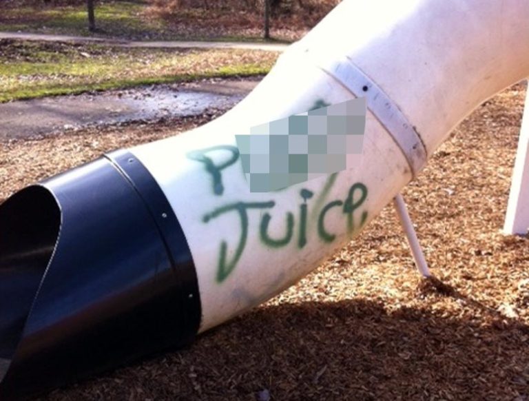 Obscene Graffiti in Tuckahoe Park | ARLnow.com