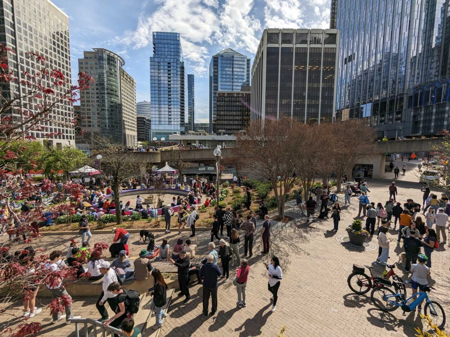 New Gateway Park redesign options envision greener, more dynamic ...