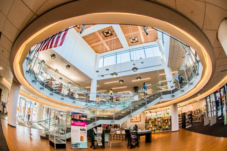 Arlington Public Library reveals most popular books of 2024 | ARLnow.com